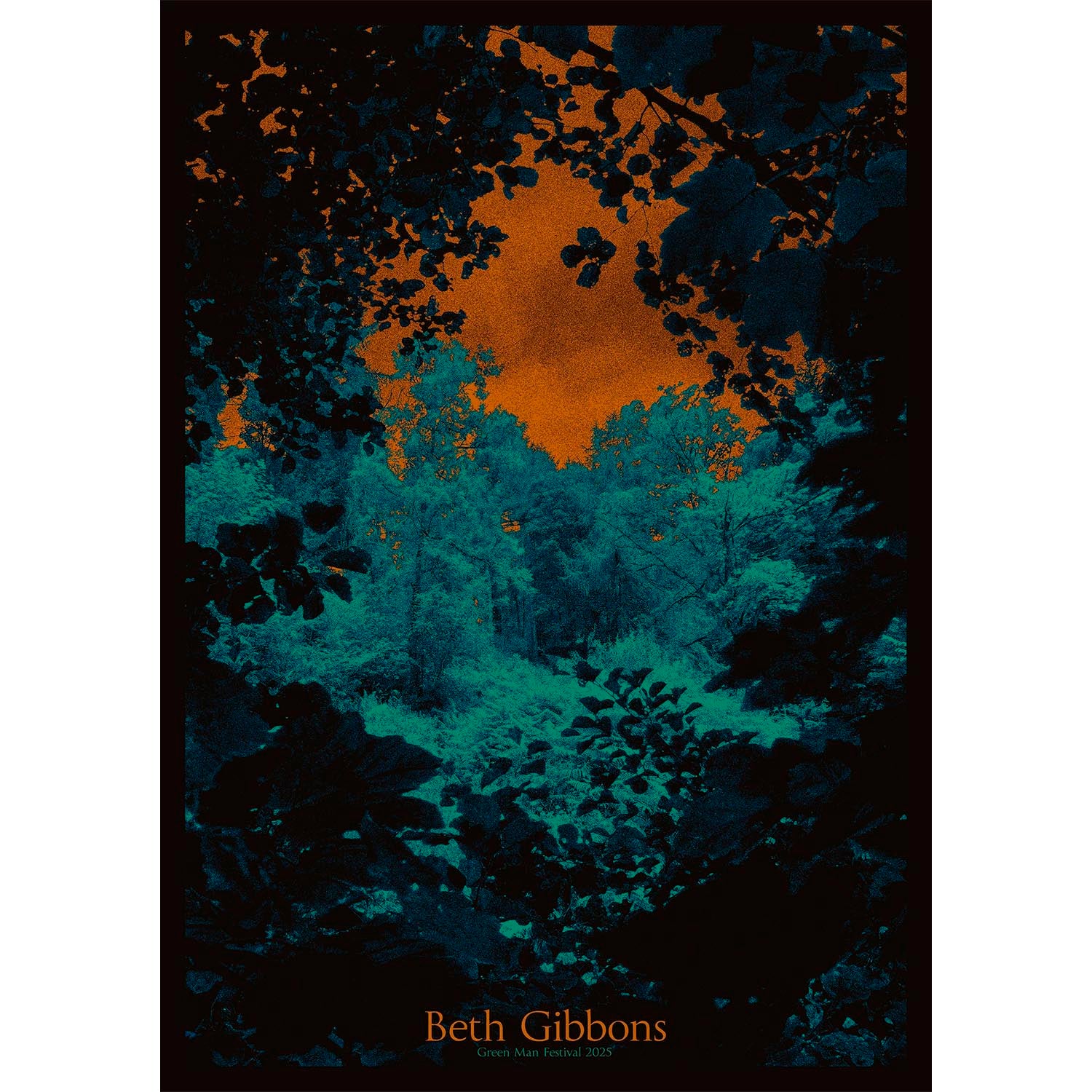 Beth Gibbons - Green Man Festival 2025 – Prints of Thieves